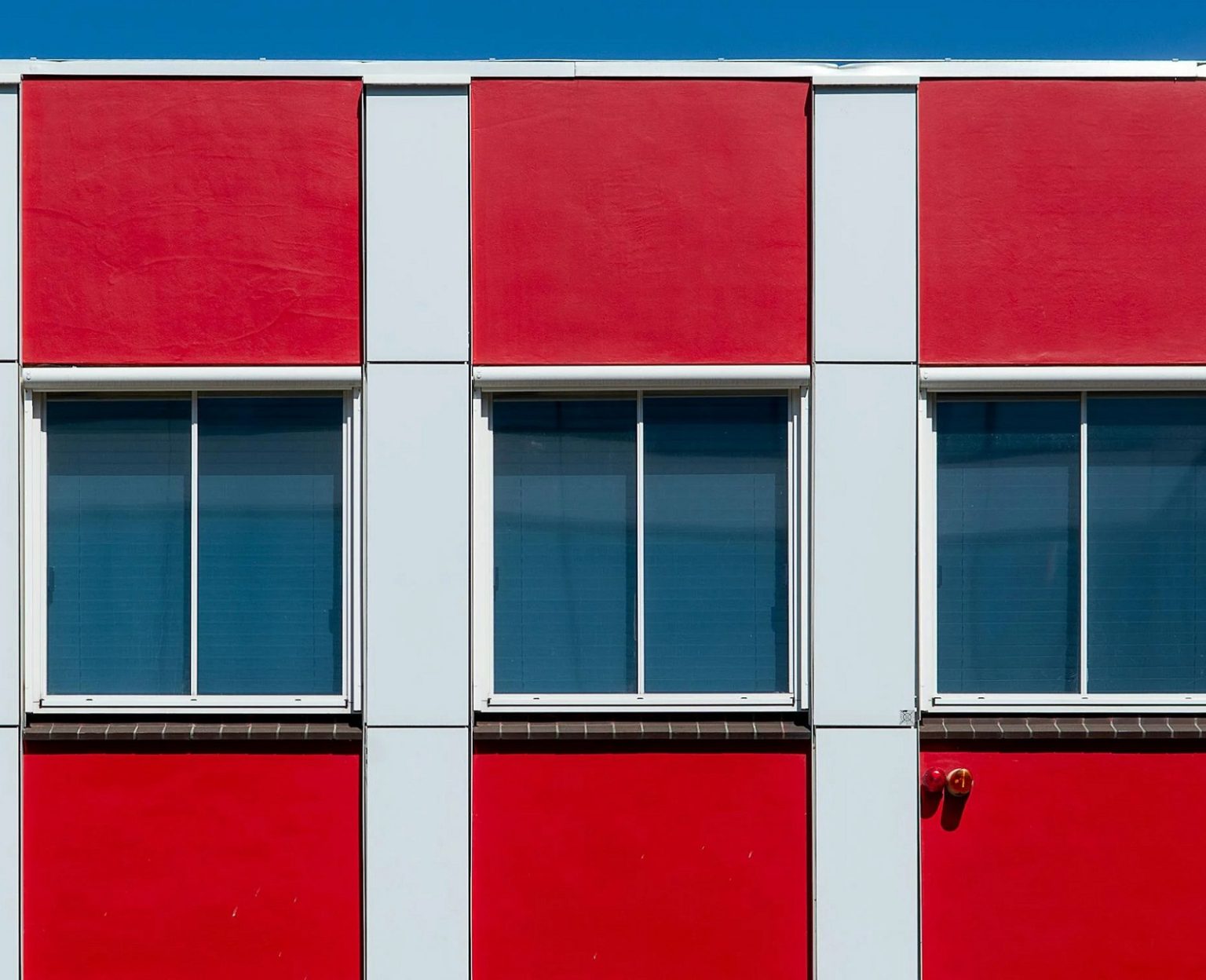 Synodus | Leading custom software development services